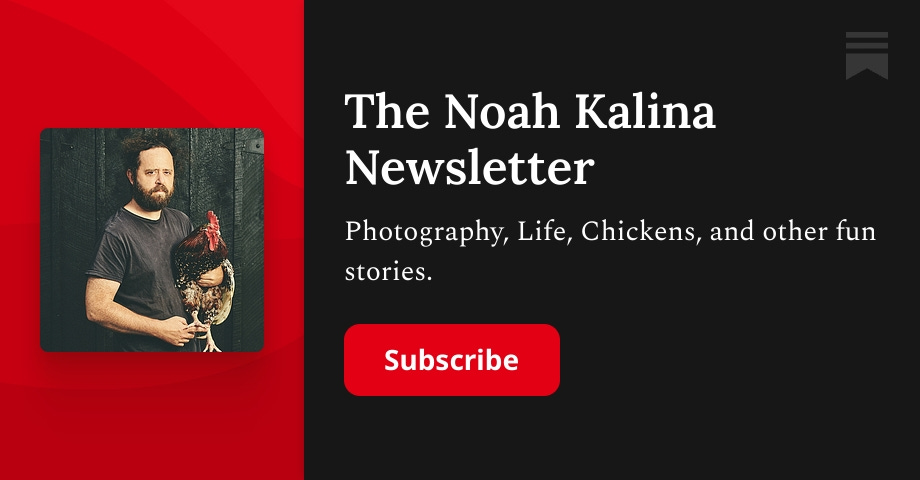 The Noah Kalina Newsletter | Substack