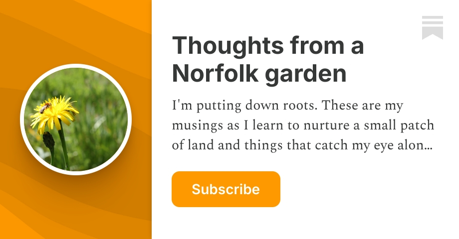 Thoughts from a Norfolk garden | Greta | Substack