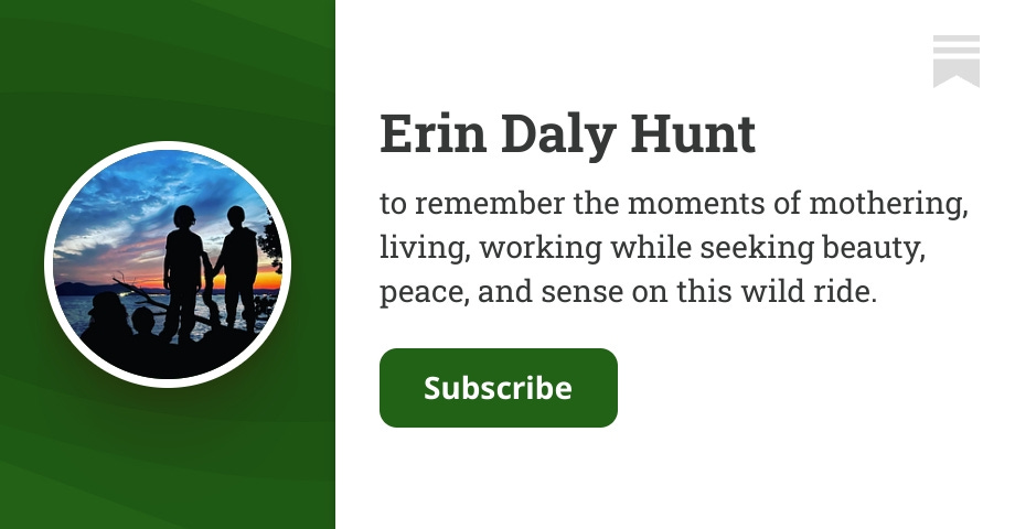 Erin Daly Hunt | Substack
