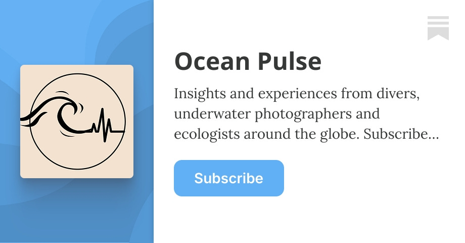 Ocean Pulse | Toju Raine | Substack