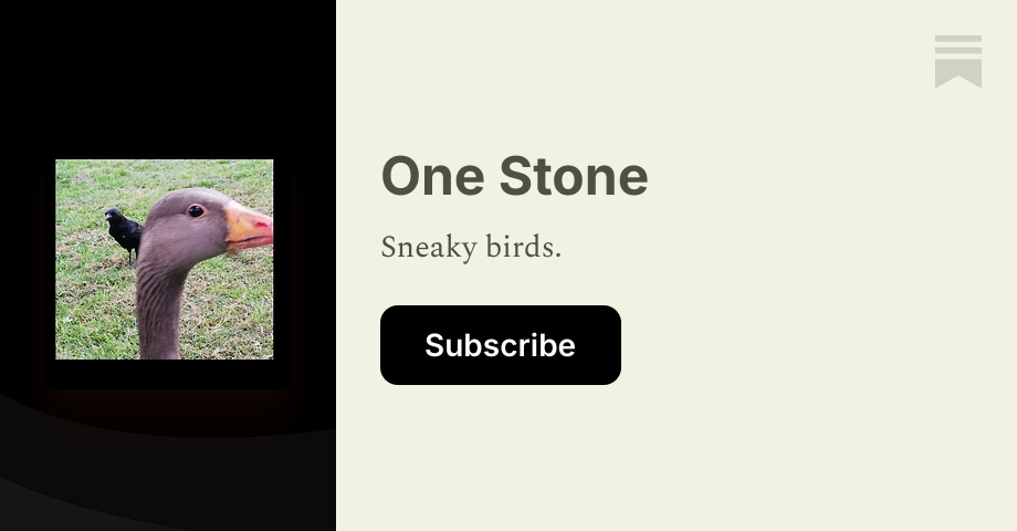 One Stone | Sarah Crowder | Substack