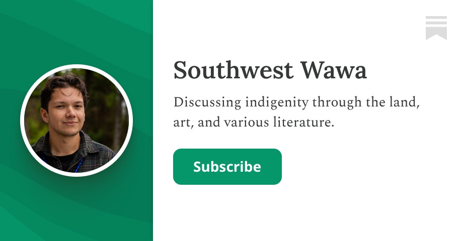 Southwest Wawa | Owen Lloyd Oliver | Substack