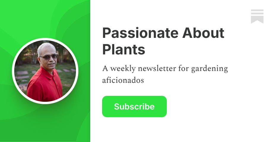 Passionate About Plants | Giridhar Pai | Substack