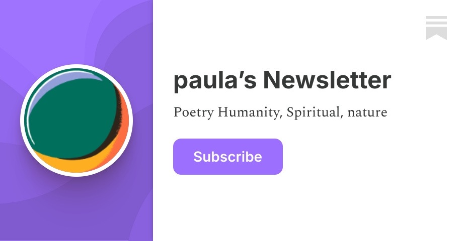 paula’s Newsletter | paula shene | Substack