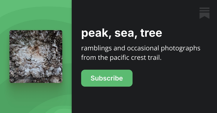 peak, sea, tree | ash wiseth | Substack