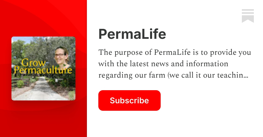PermaLife | Koreen Brennan | Substack