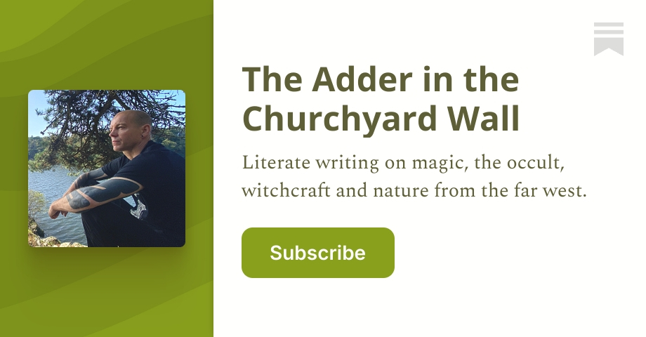 The Adder in the Churchyard Wall | Peter Grey | Substack