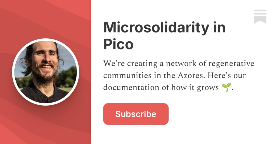 Microsolidarity in Pico | Michal Korzonek | Substack