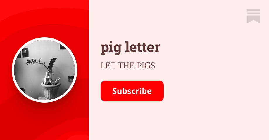 pig letter | Substack