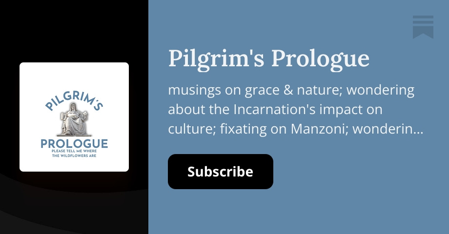 Pilgrim's Prologue | Fr. Ryan Adorjan | Substack