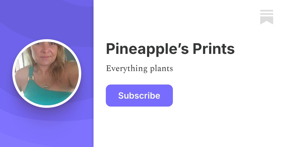 Pineapple’s Prints | Pineapple Wilson | Substack