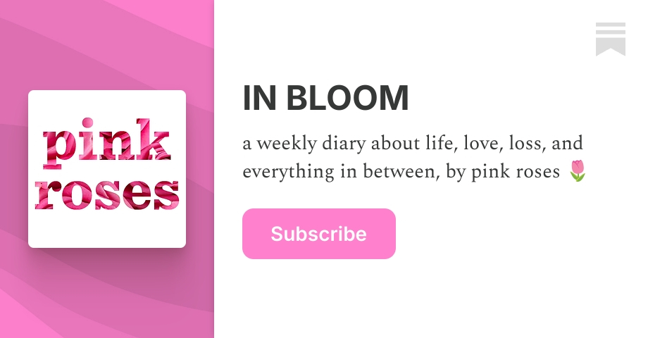 IN BLOOM | pink roses | Substack