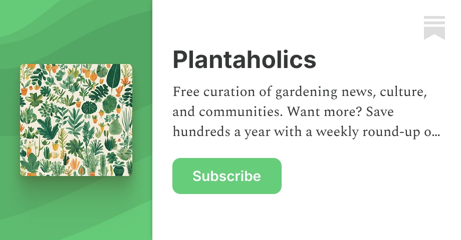 Plantaholics | Jess | Substack