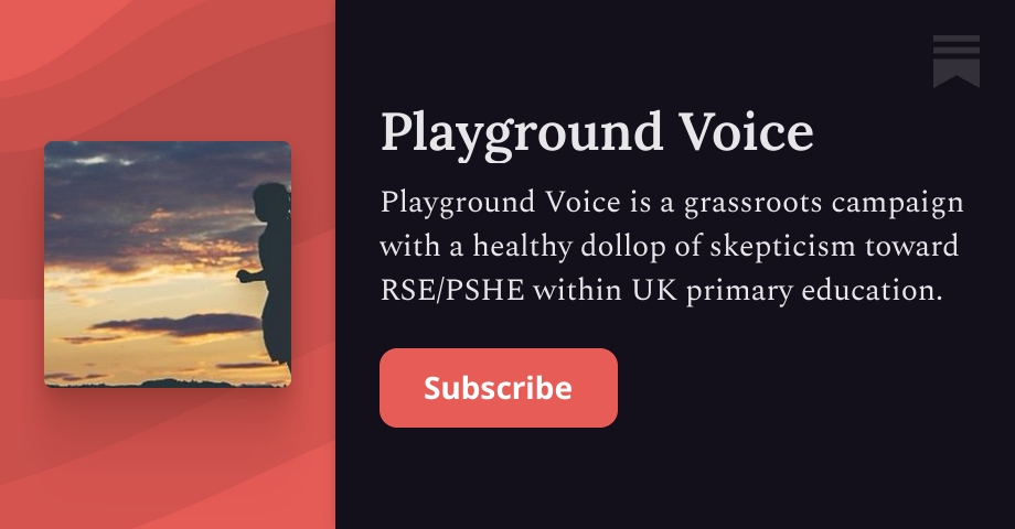 Playground Voice | Substack