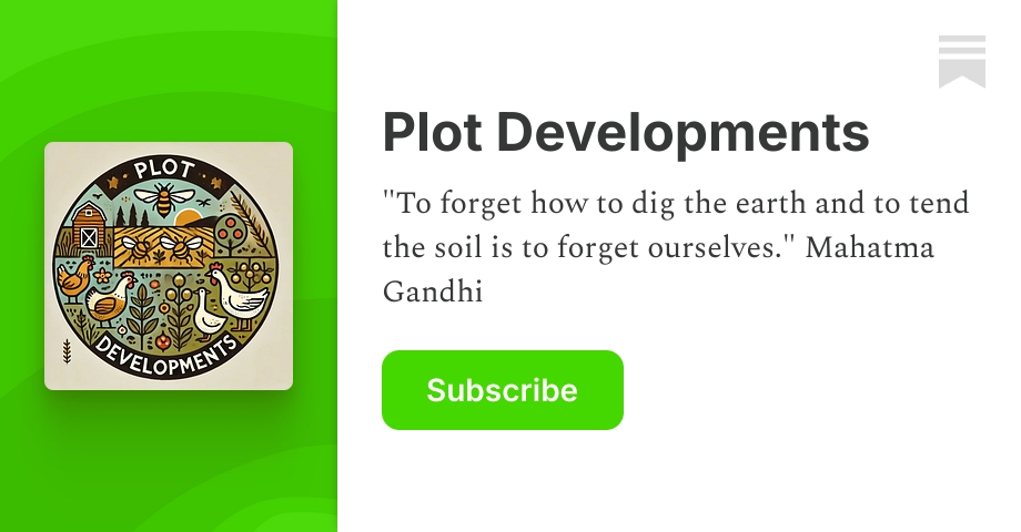Plot Developments | Substack