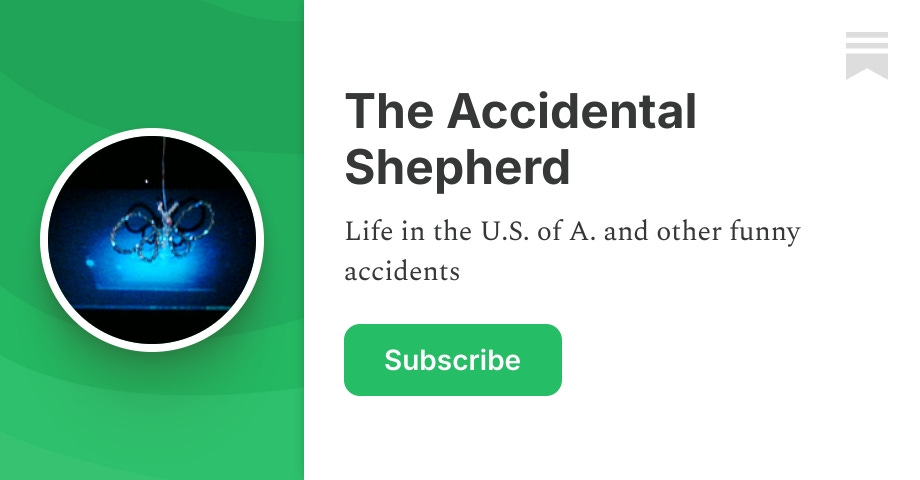 The Accidental Shepherd is lost - by hans poetschner