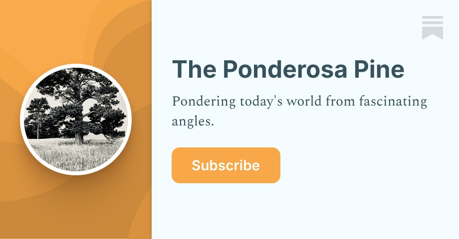 The Ponderosa Pine | Substack