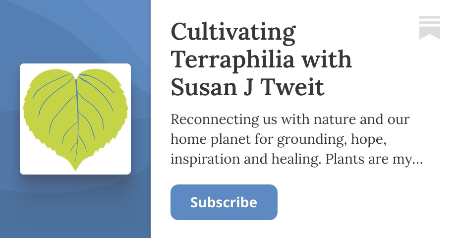 Practicing Terraphilia with Susan J Tweit | Substack