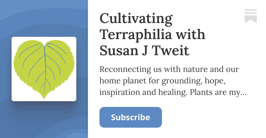 Practicing Terraphilia with Susan J Tweit | Substack