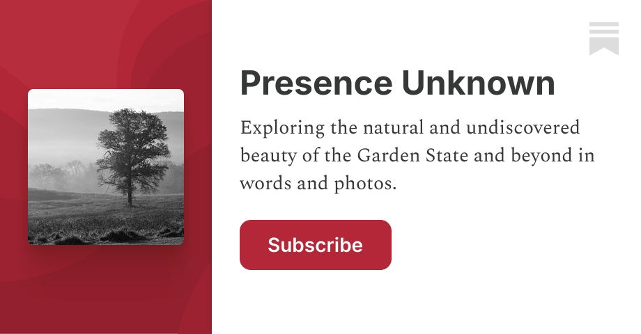 Presence Unknown | Ken Smith | Substack