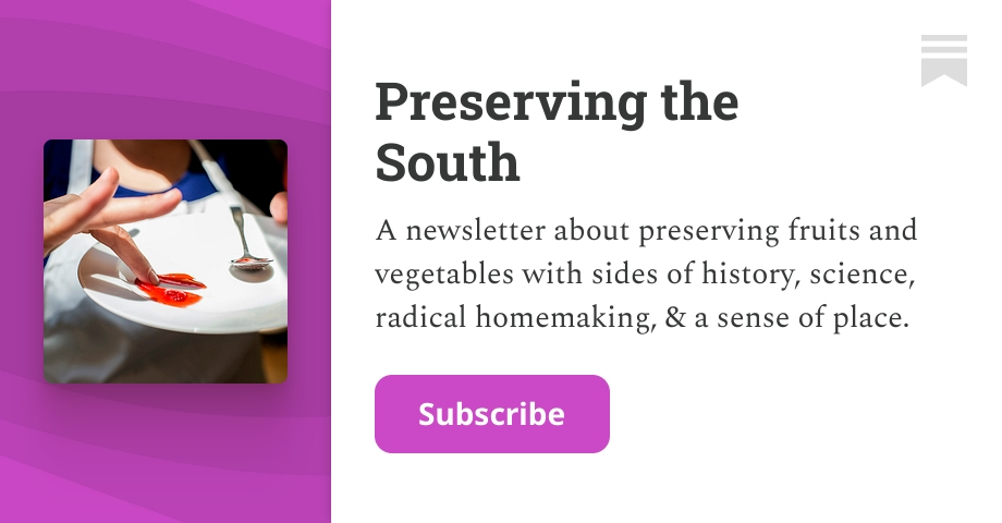 Preserving the South | April McGreger | Substack