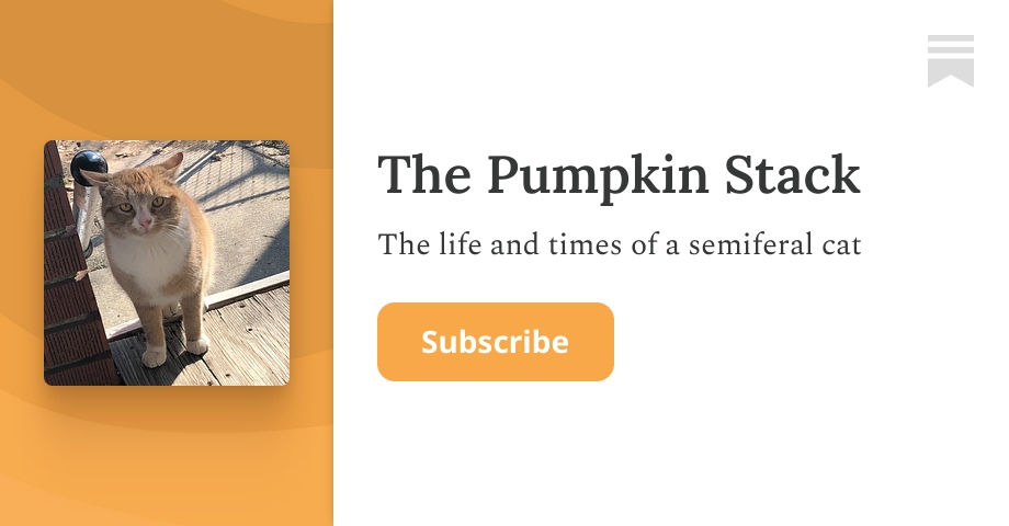 The Pumpkin Stack | Tosha Rach | Substack