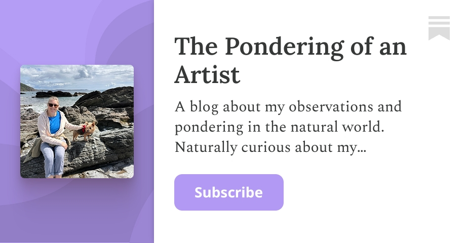 The Pondering of an Artist | Purple Ladybird Art | Substack