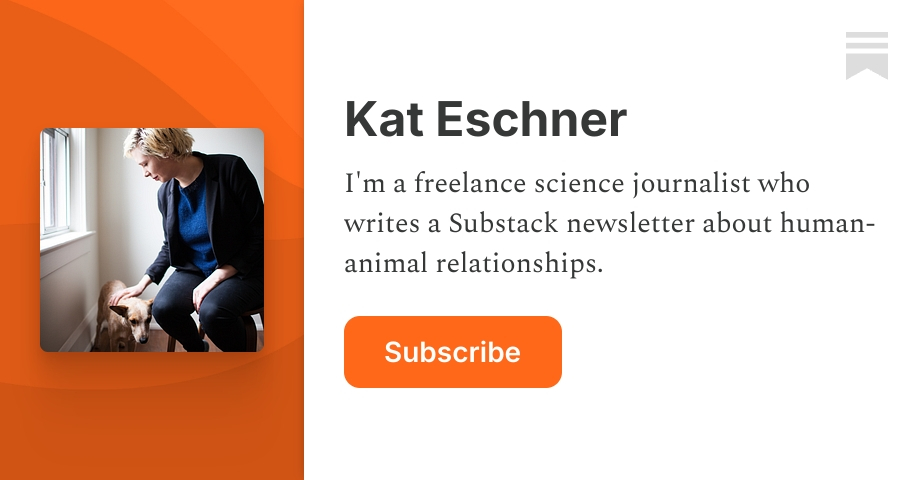 Oil! - by Kat Eschner - The Quick Fox