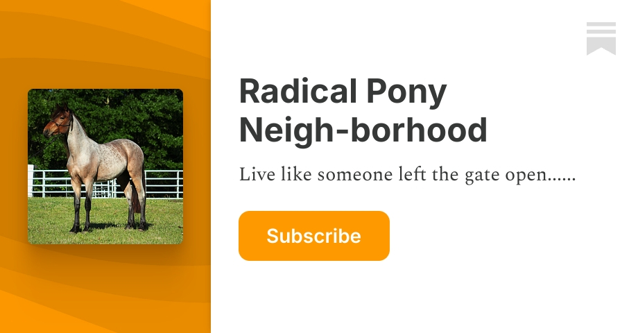 Radical Pony Neigh-borhood | Lois Lassiter | Substack