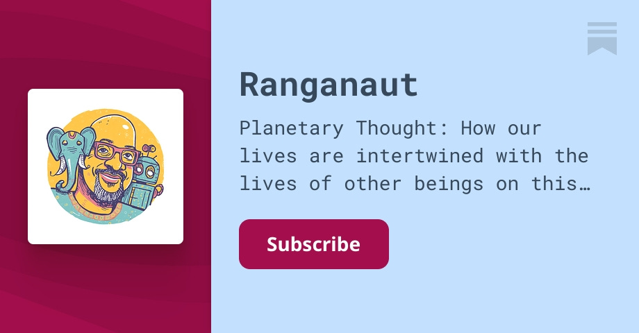 Ranganaut | Rajesh Kasturirangan | Substack