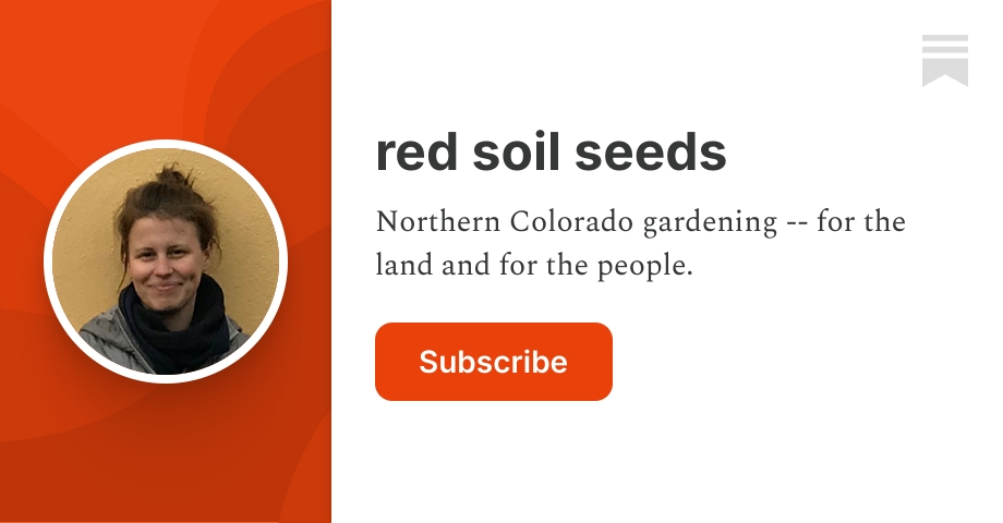 red soil seeds | Maddie Maher | Substack