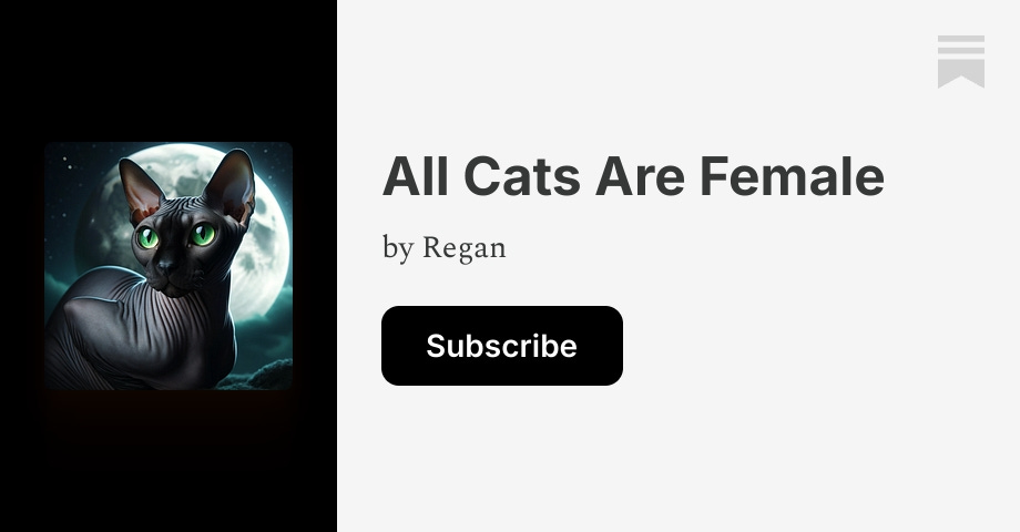 All Cats Are Female | Regan | Substack