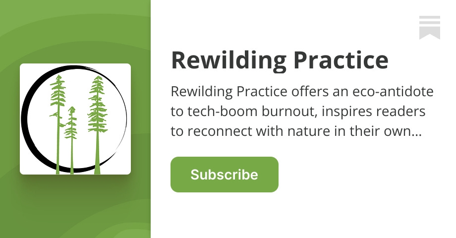 Rewilding Practice | Amanda Warton Jenkins | Substack