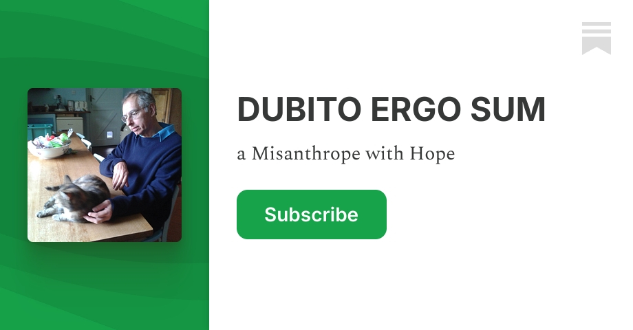 DUBITO ERGO SUM | Ric Cheyney | Substack