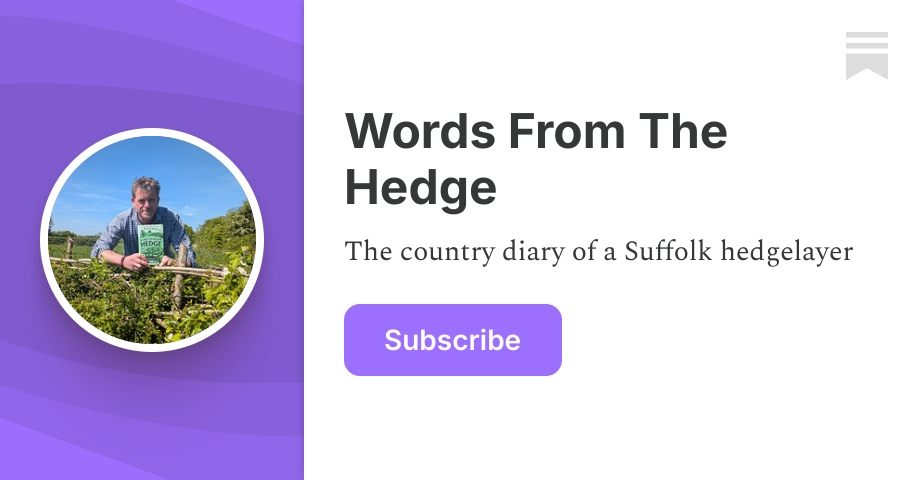 Words From The Hedge | Richard Negus | Substack