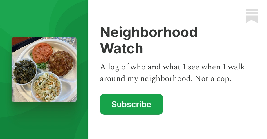Neighborhood Watch | Caroline | Substack
