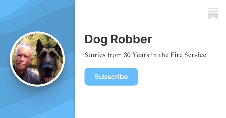 Dog Robber | Substack