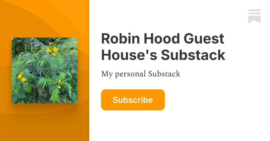 Robin Hood Guest House's Substack | Rebecca Lee (maybeitsmercury) | Substack