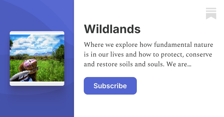 Wildlands | Robin Motzer | Substack