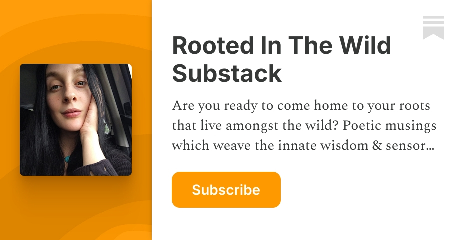 Rooted In The Wild Substack | Bonnie Cantarutti | Substack