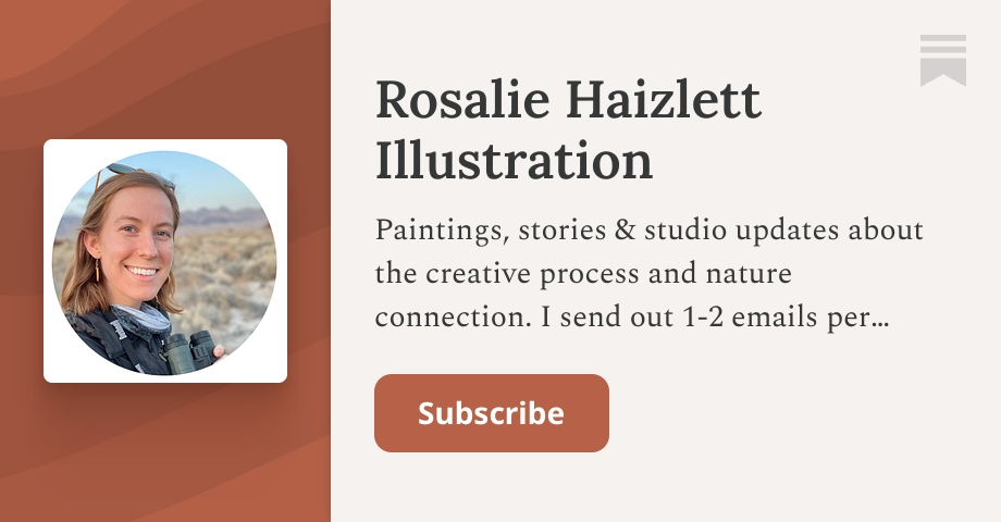 Rosalie Haizlett Illustration | Substack