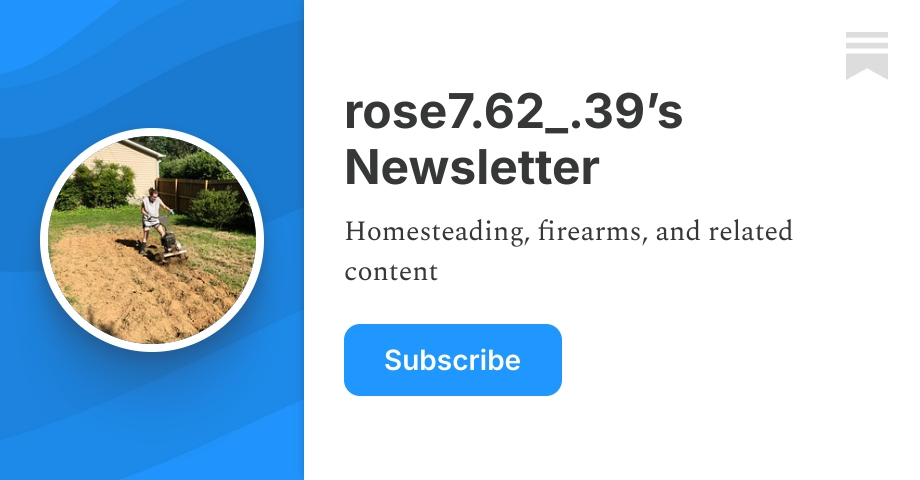 rose7.62_.39’s Newsletter | Amanda | Substack
