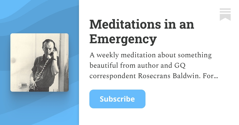 Meditations in an Emergency | Rosecrans Baldwin | Substack