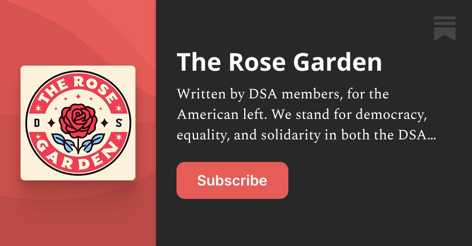 The Rose Garden | Substack