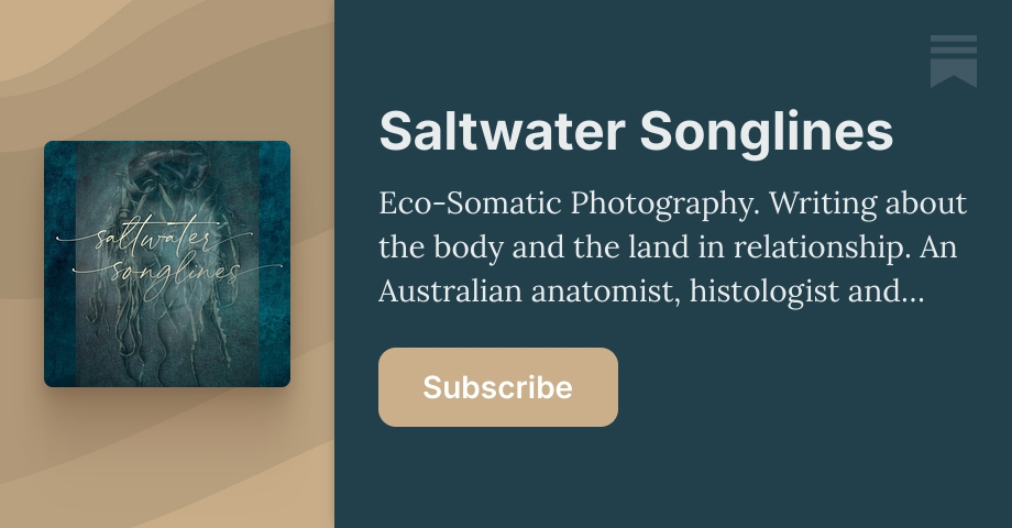 Saltwater Songlines | Narelle Carter-Quinlan | Substack