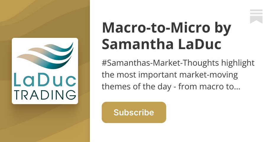 Macro-to-Micro by Samantha LaDuc | Substack