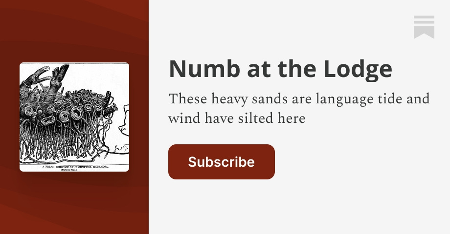 Numb at the Lodge | Sam Kriss | Substack