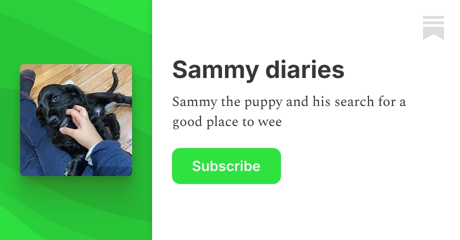 Sammy diaries | Substack