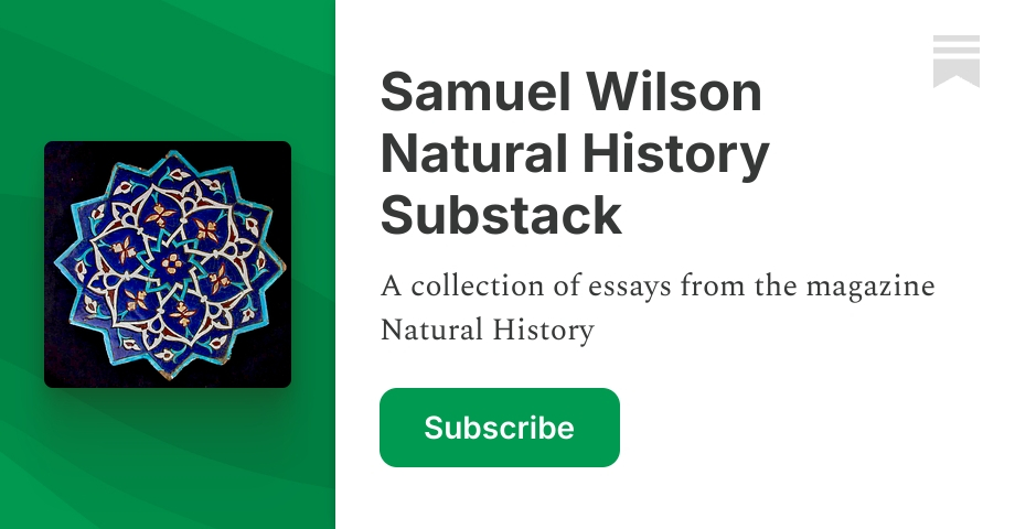 Samuel Wilson Natural History Substack | Substack