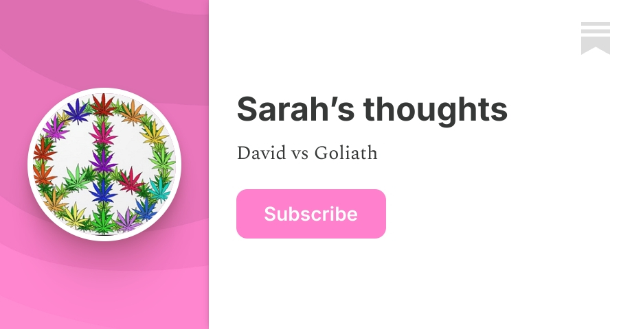 Sarah’s thoughts | Sarah Bonin | Substack